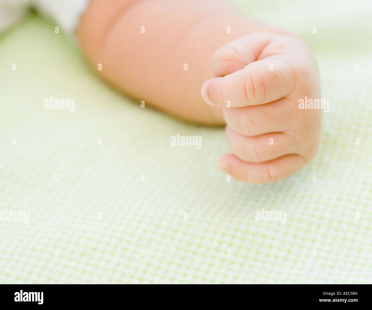 Close up of newborn baby’s hand Stock Photo - Alamy