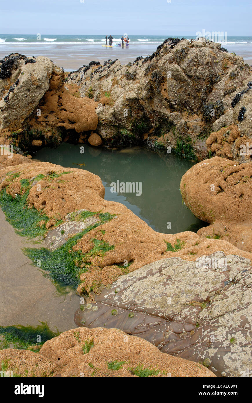 Rock Pool, Bude, Cornwall Stock Photo - Alamy
