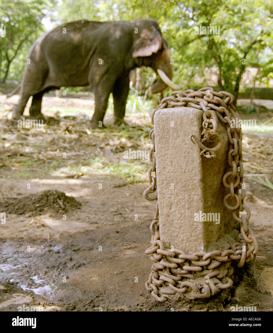 Restrained format hi-res stock photography and images - Alamy