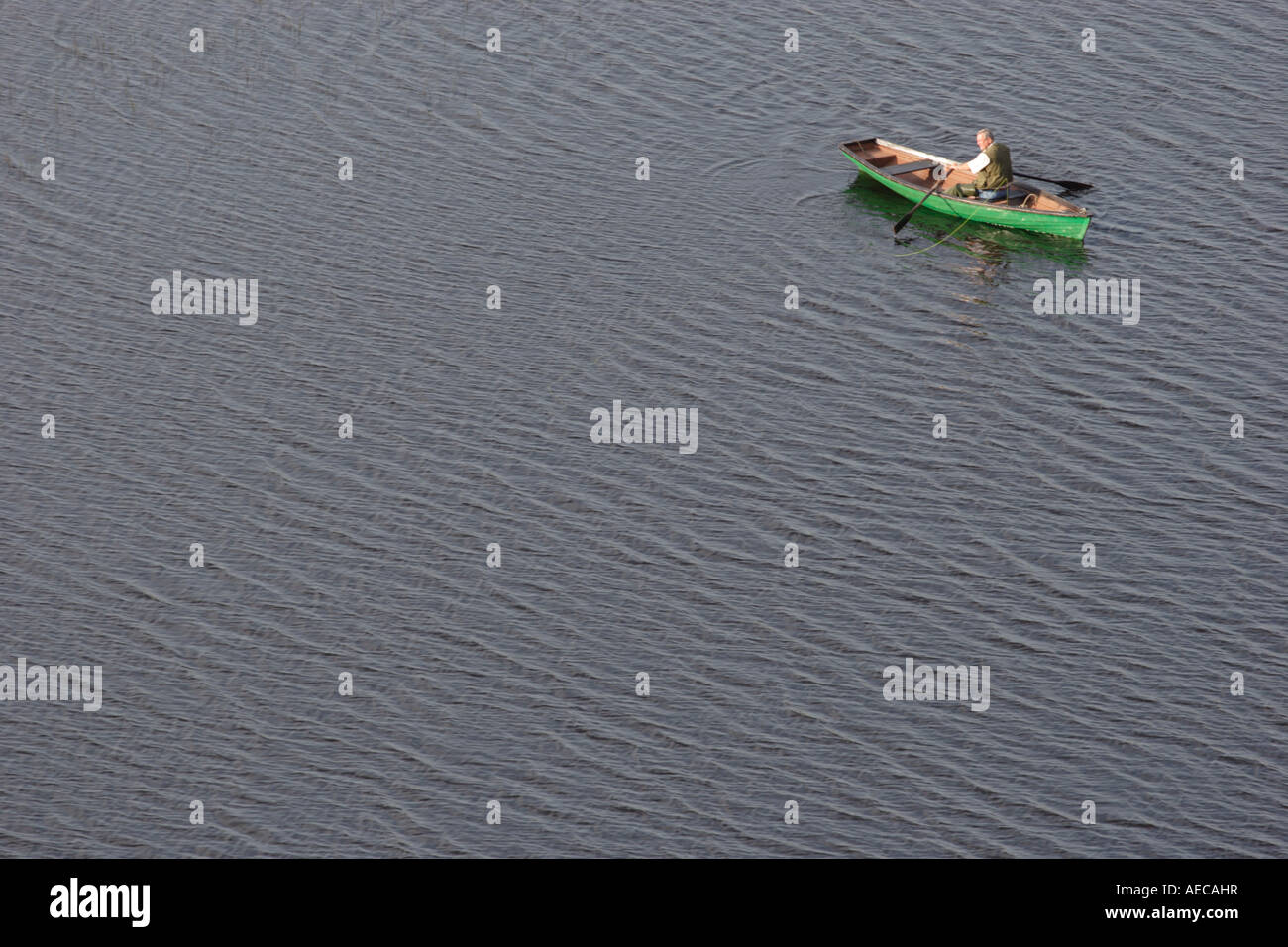 Rowing boat oars hi-res stock photography and images - Alamy