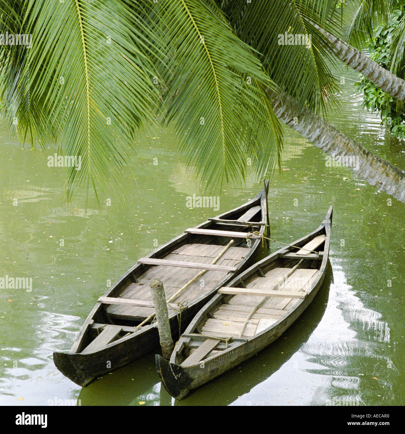 Top view of a canal of the back waters of Alappuzha, Kerala, India ...