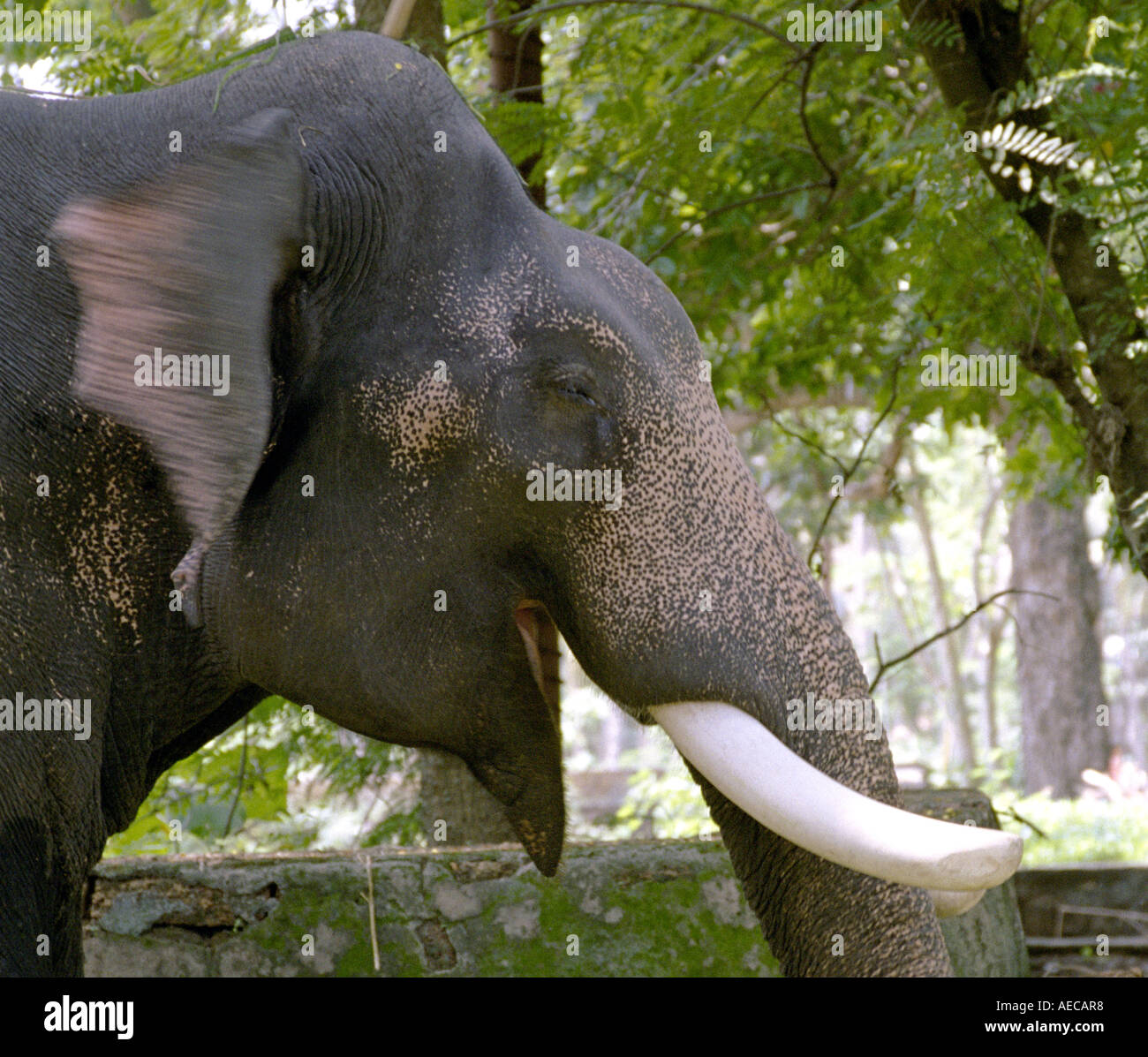 Escape lateral hi-res stock photography and images - Alamy