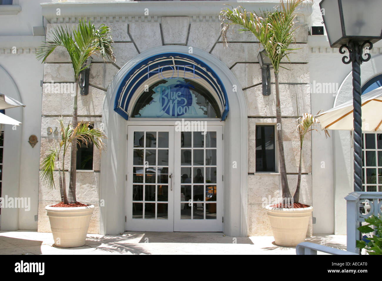 elegant arched doorway and entrance flanked by two potted palm trees ...