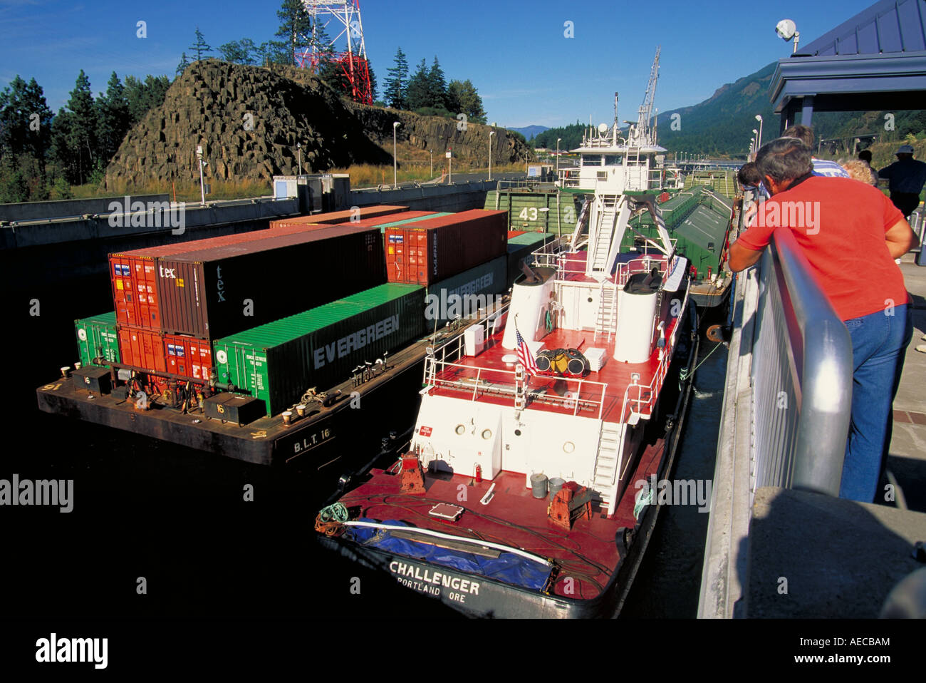 Elk255 5775 Oregon Columbia River Gorge Bonneville Dam lock barges ...
