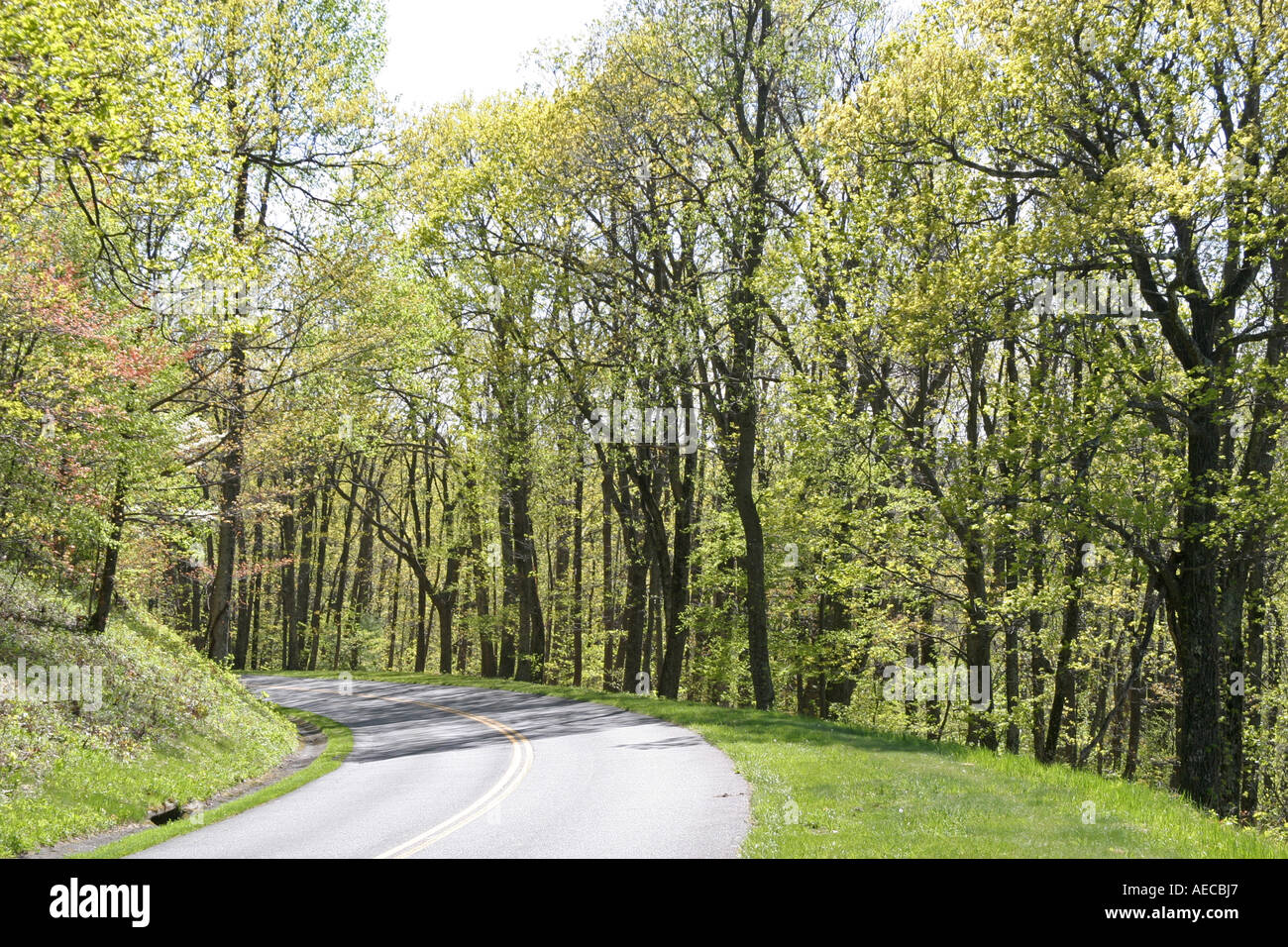 Spring motoring hi-res stock photography and images - Alamy
