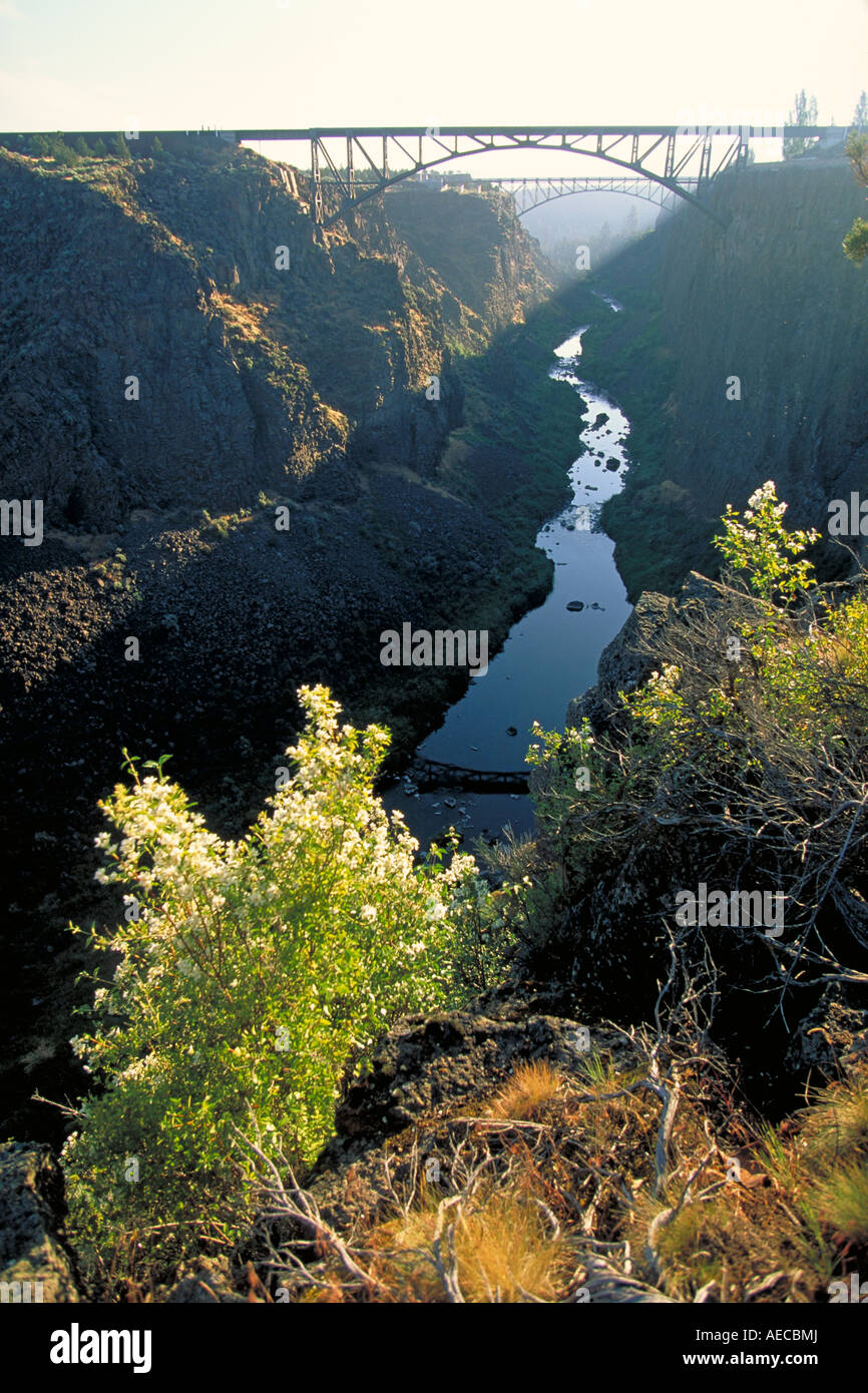 Elk255 6494 Oregon Peter Skene Ogden SP Crooked River Gorge overlook ...