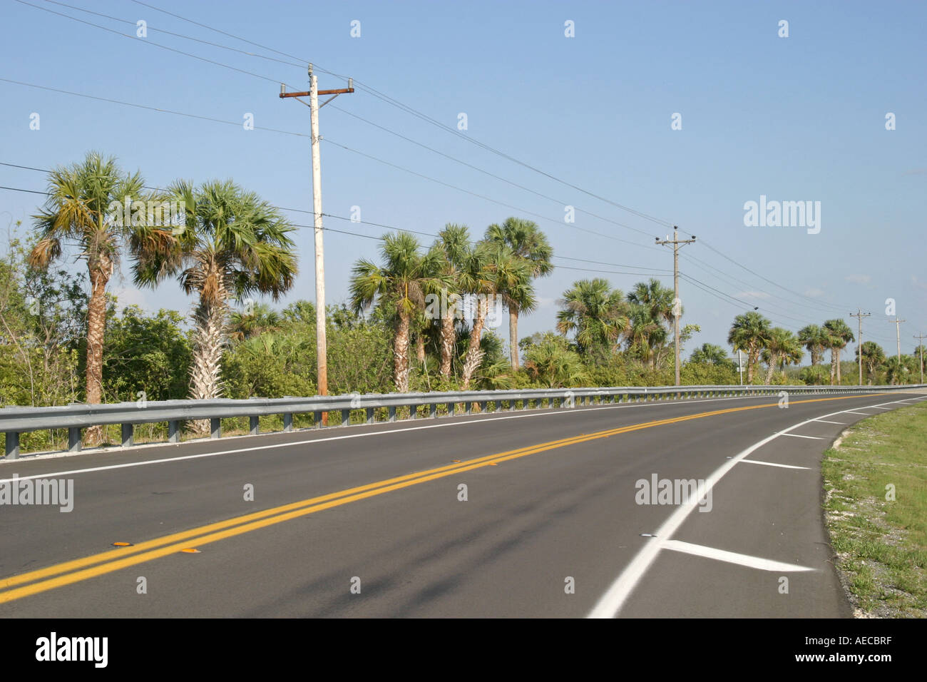 Line curved palm trees hi-res stock photography and images - Alamy