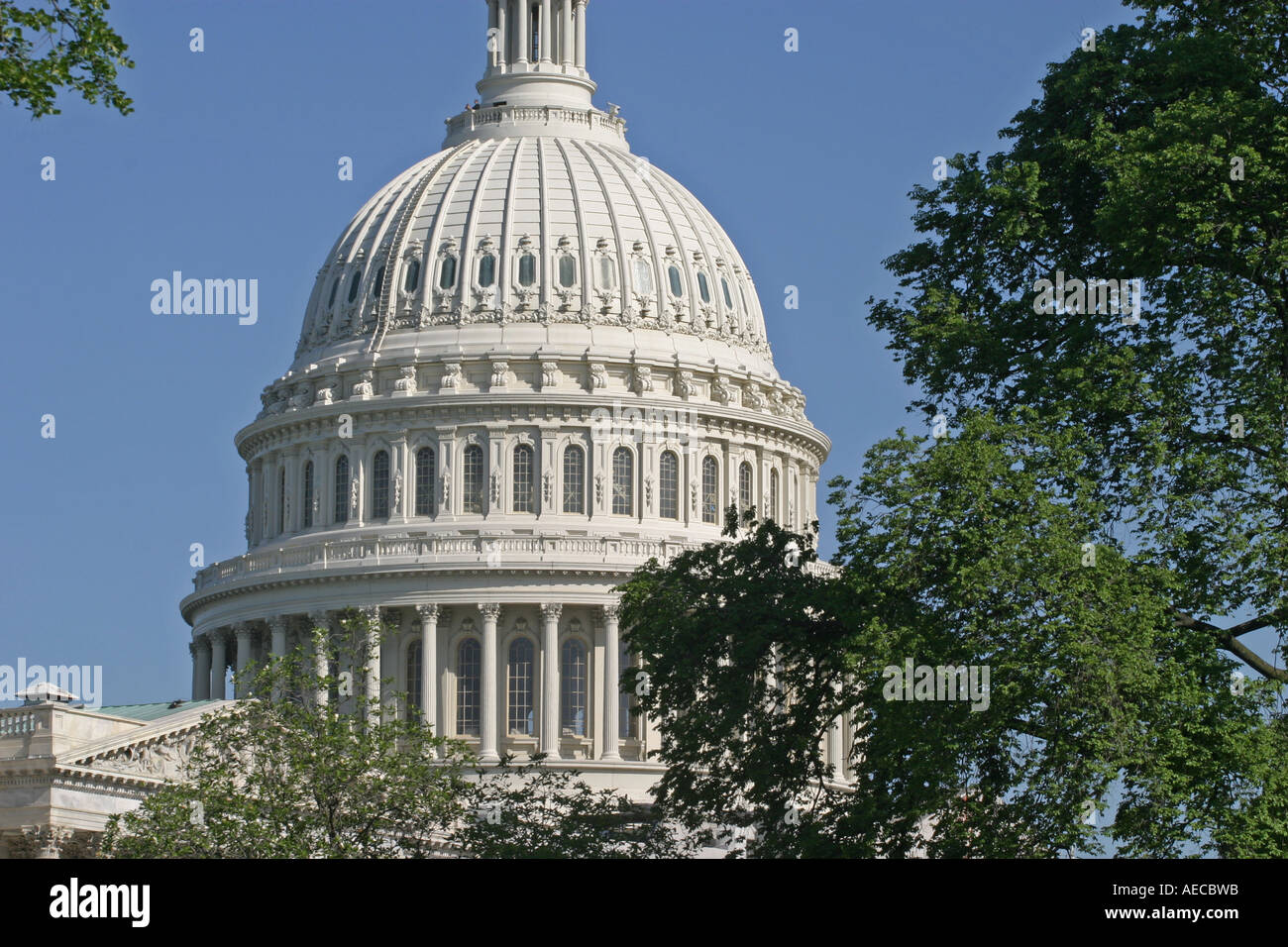 dome of Capitol building, Washington, D.C Stock Photo - Alamy