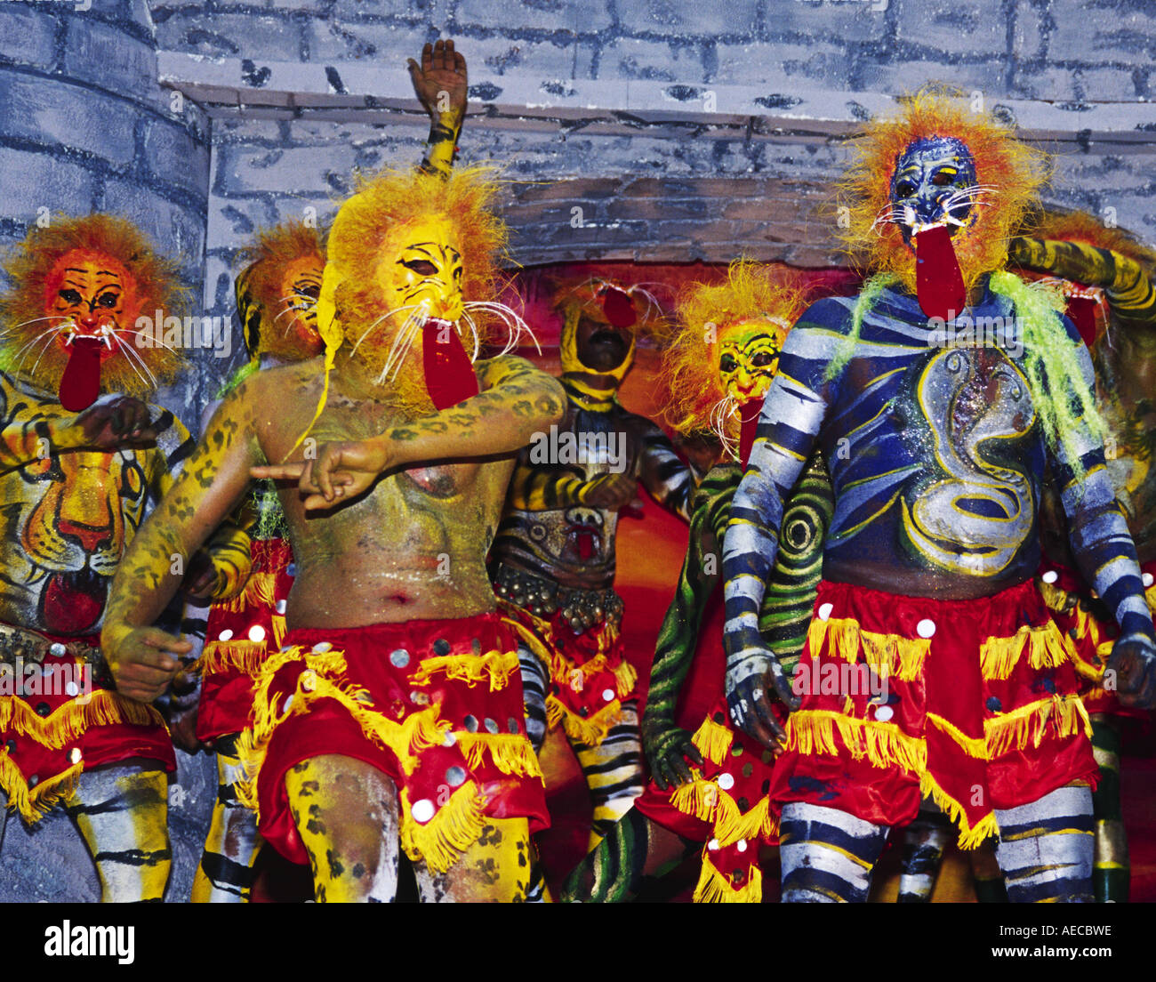 Pulikkali-Tiger dancers, Kerala, India Stock Photo - Alamy