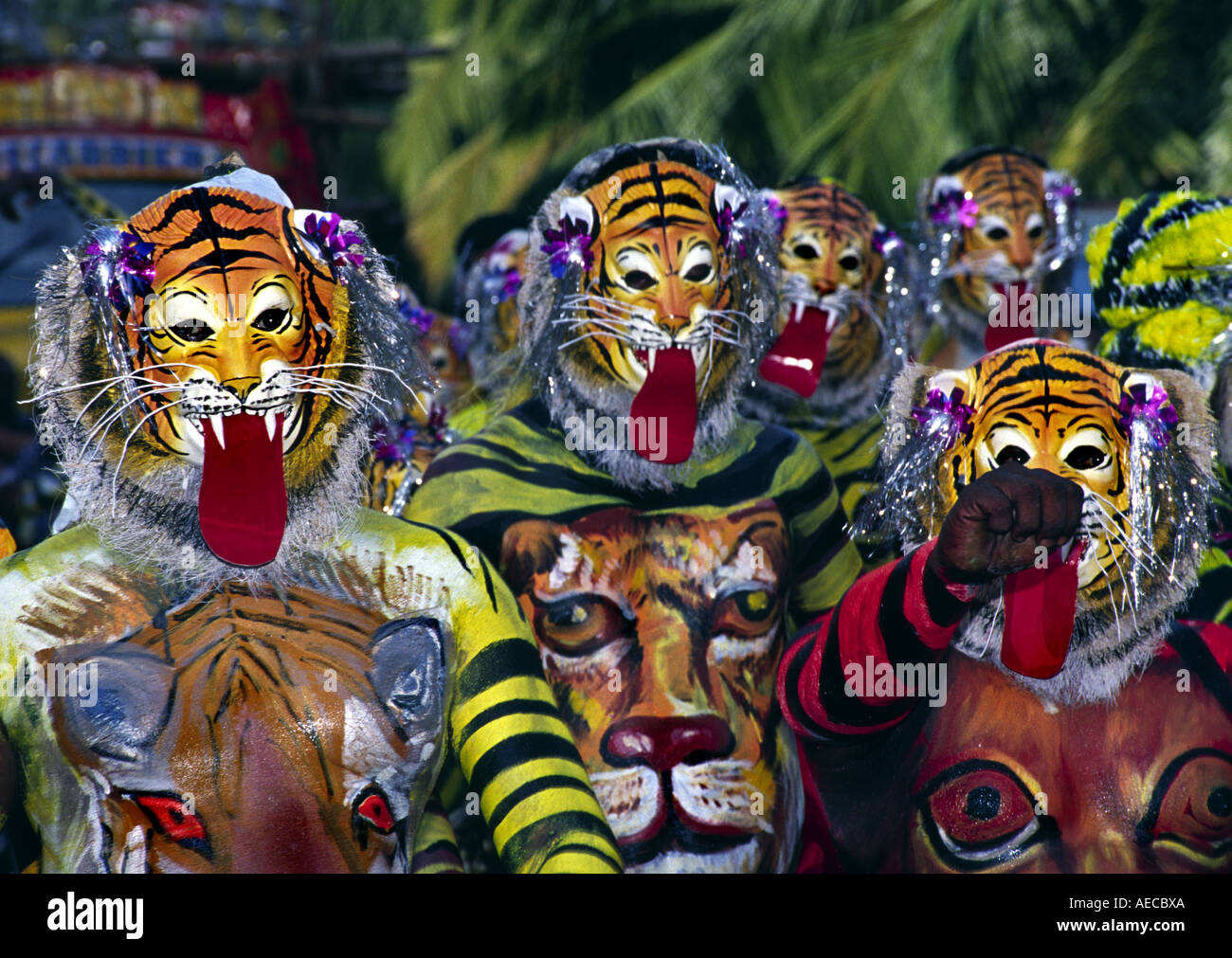 Pulikkali-Tiger dancers, Kerala, India Stock Photo - Alamy