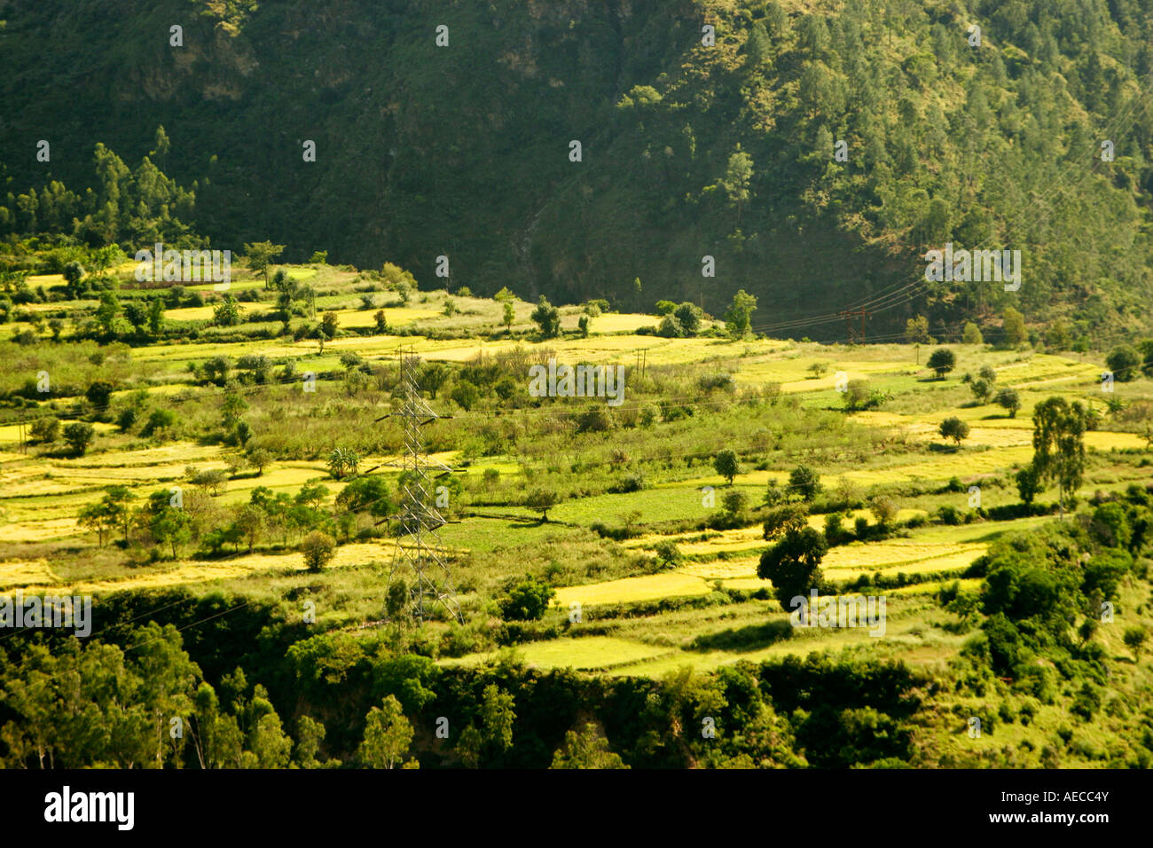 Rampur village hi-res stock photography and images - Alamy