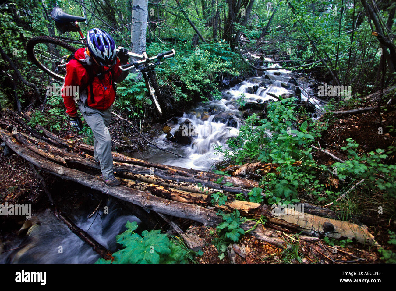 man carrying bike across wooden bridge over stream near Telluride ...