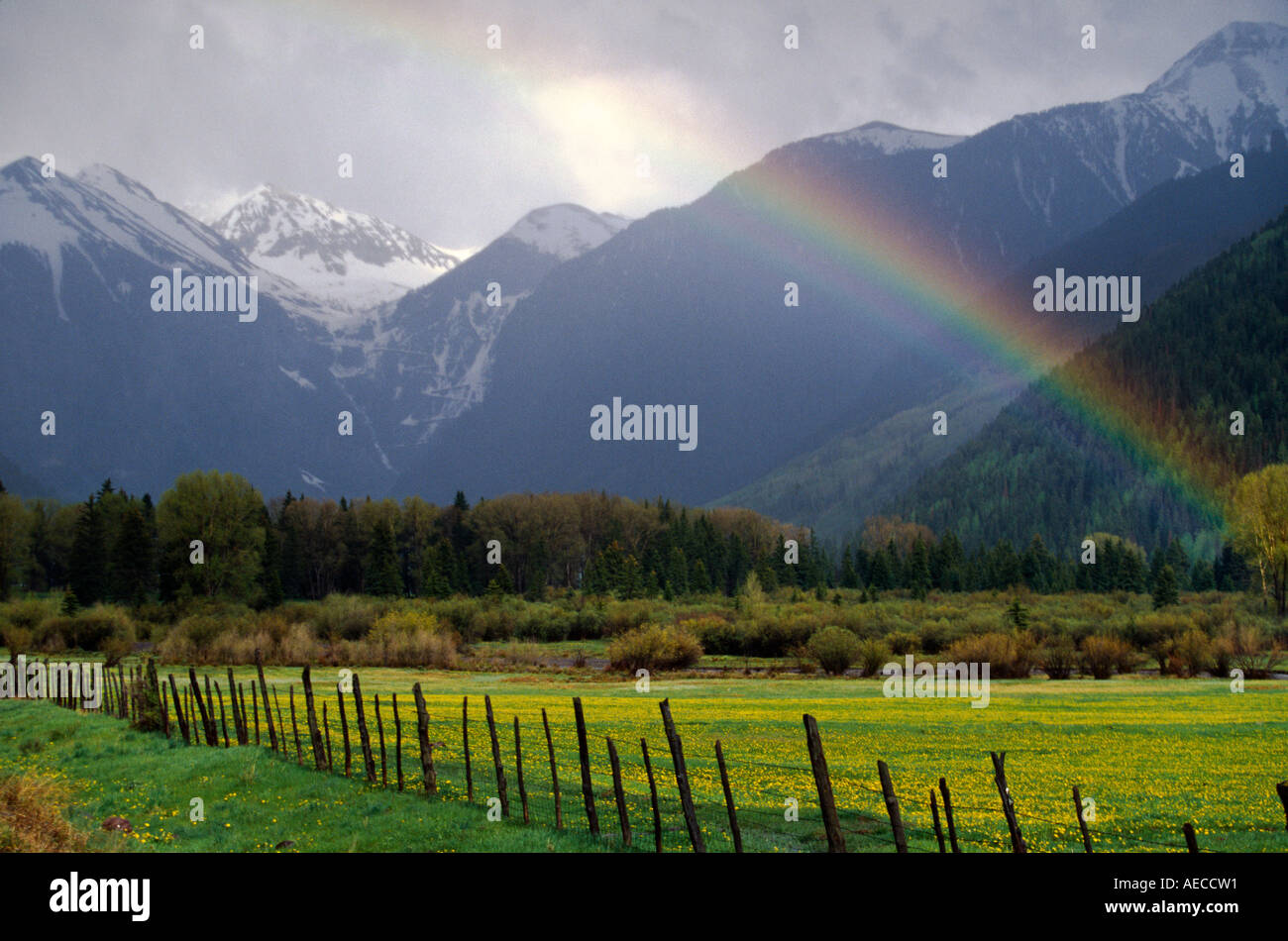 Rainbow over the Telluride valley, Colorado USA Stock Photo - Alamy