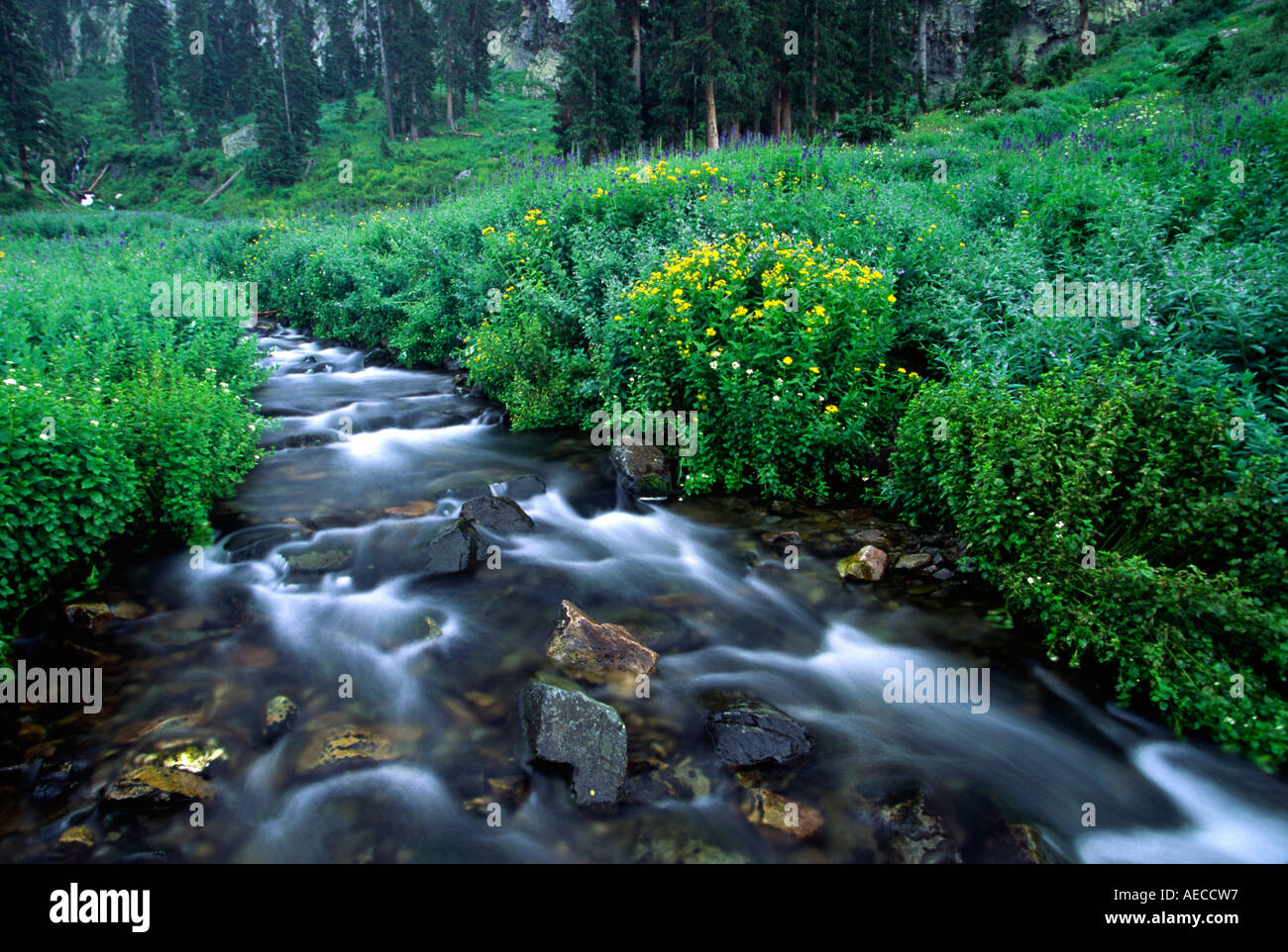 Grenadier mountains hi-res stock photography and images - Alamy