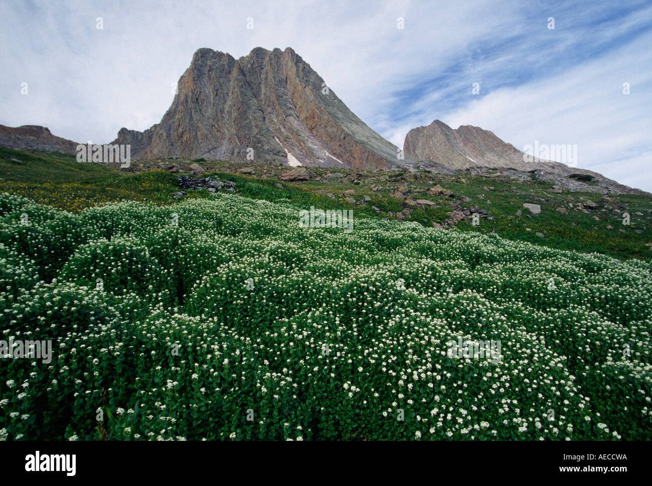 Vestal Peak, Grenadier Range, Weminuche Wilderness, San Juan Mountains ...