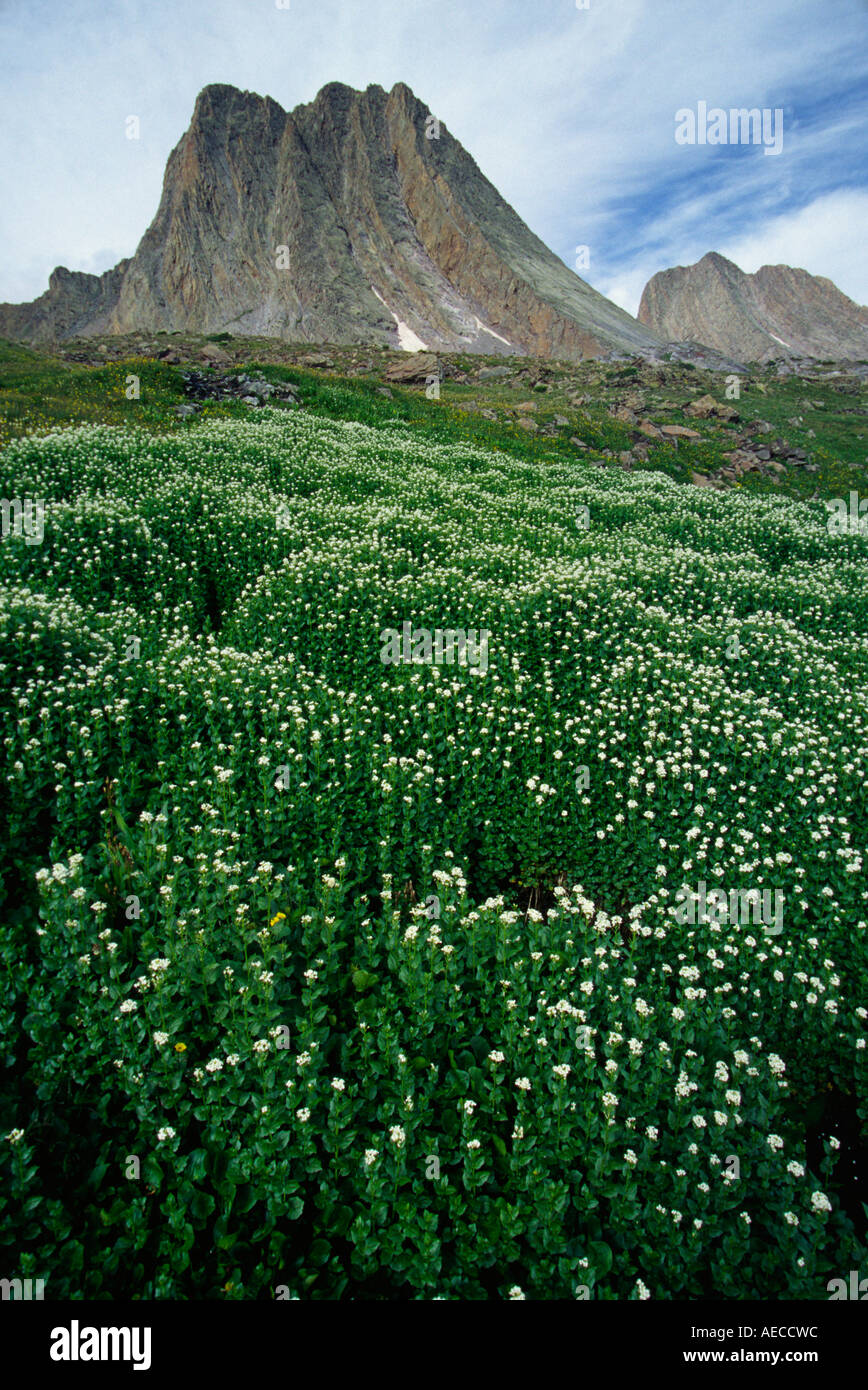Vestal Peak, Grenadier Range, Weminuche Wilderness, San Juan Mountains ...
