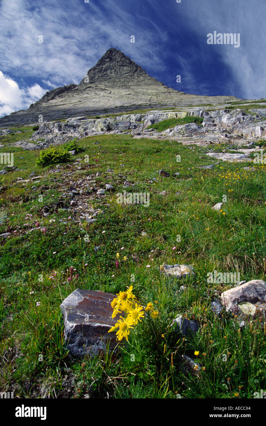 Vestal Peak, Grenadier Range, Weminuche Wilderness, San Juan Mountains ...