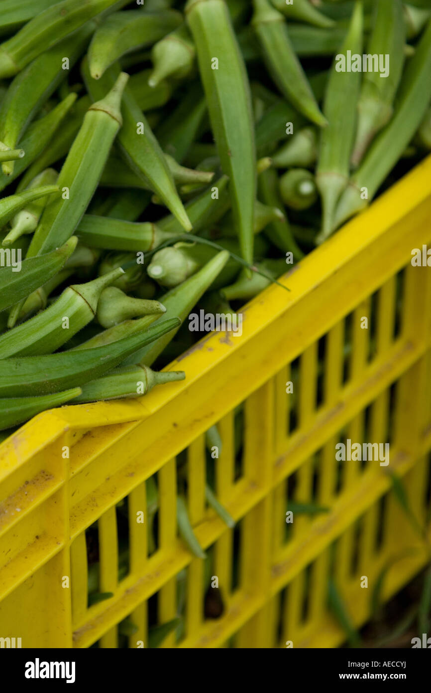 Pods of okra hi-res stock photography and images - Alamy