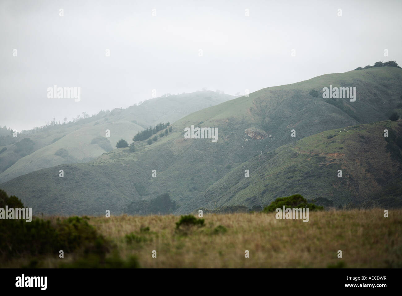 Mountain Terrain Big Sur Coastline California United States of America ...