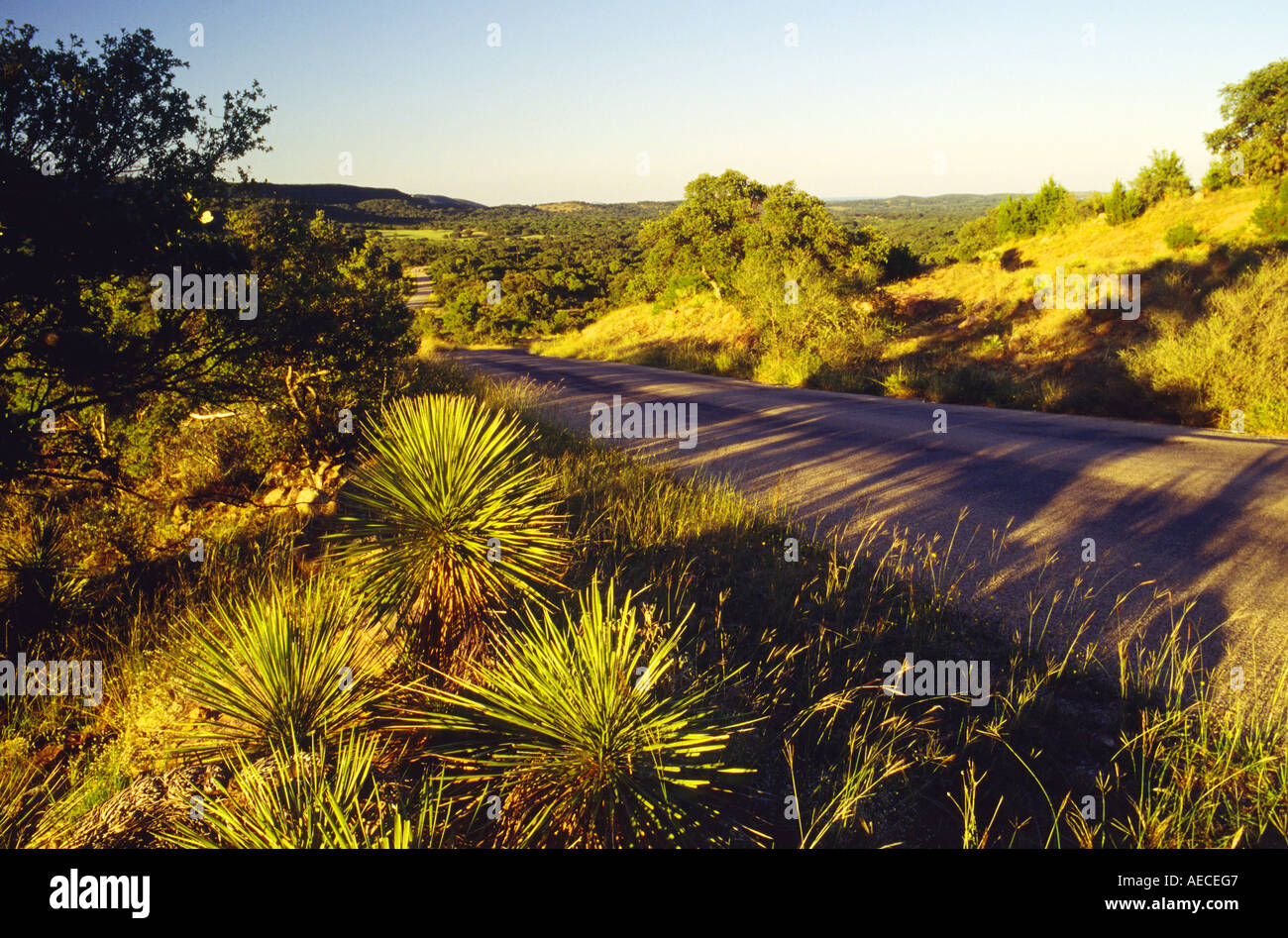 Willow city loop hi-res stock photography and images - Alamy