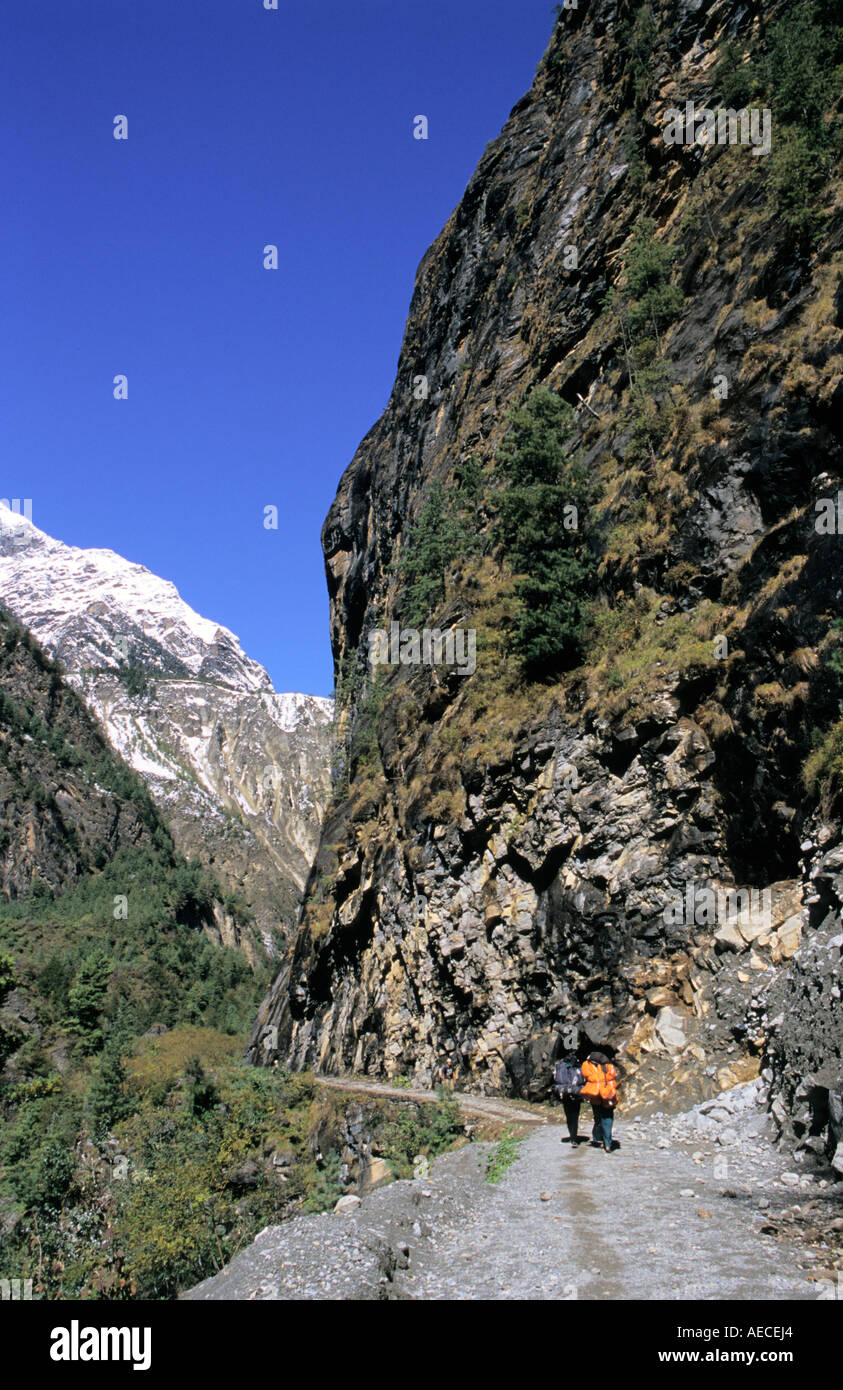 Trekking path along magnificent cliffs in Dharapani surroundings ...