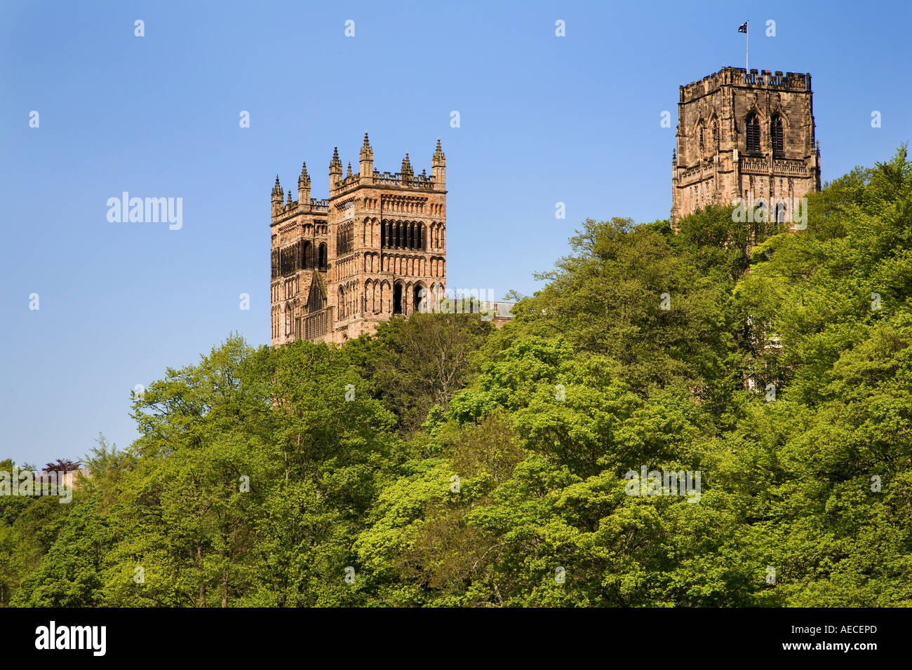 The Cathedral Church of Christ Blessed Mary the Virgin and St Cuthbert ...