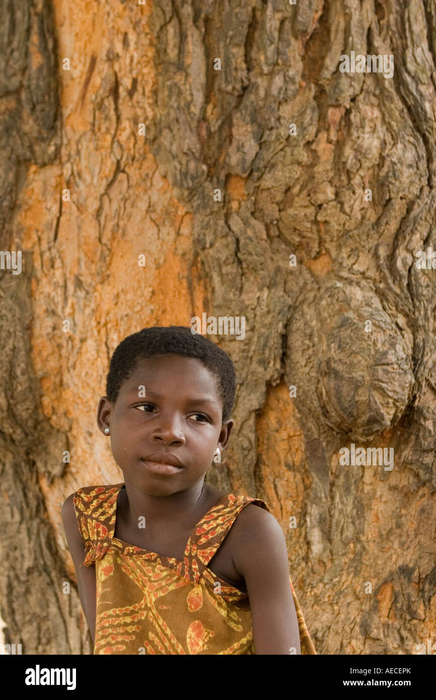 Portrait of African girl under large tree ghana Africa Stock Photo - Alamy