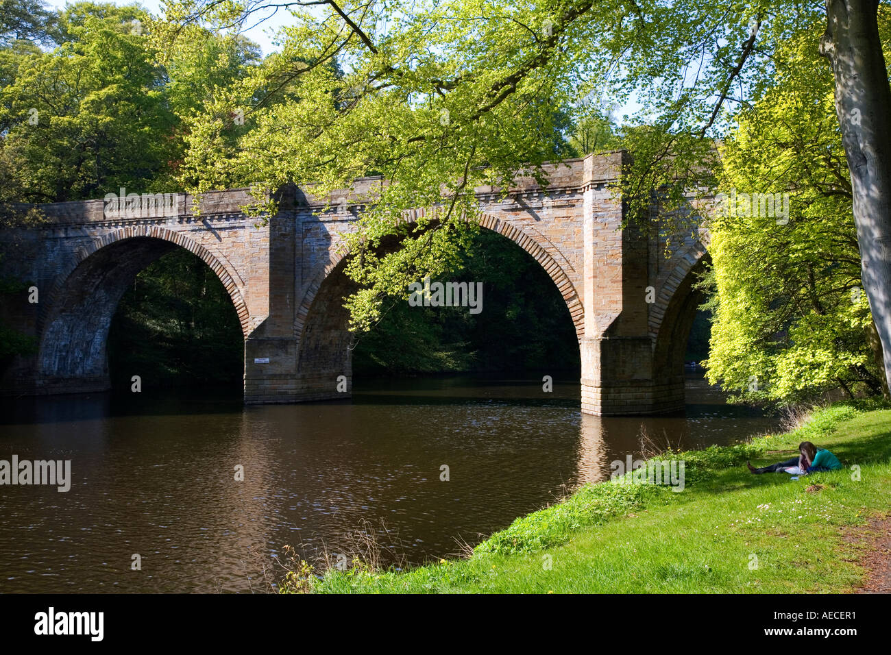 Students Sitting Revising in the Shade of a Tree on the River Wear at ...
