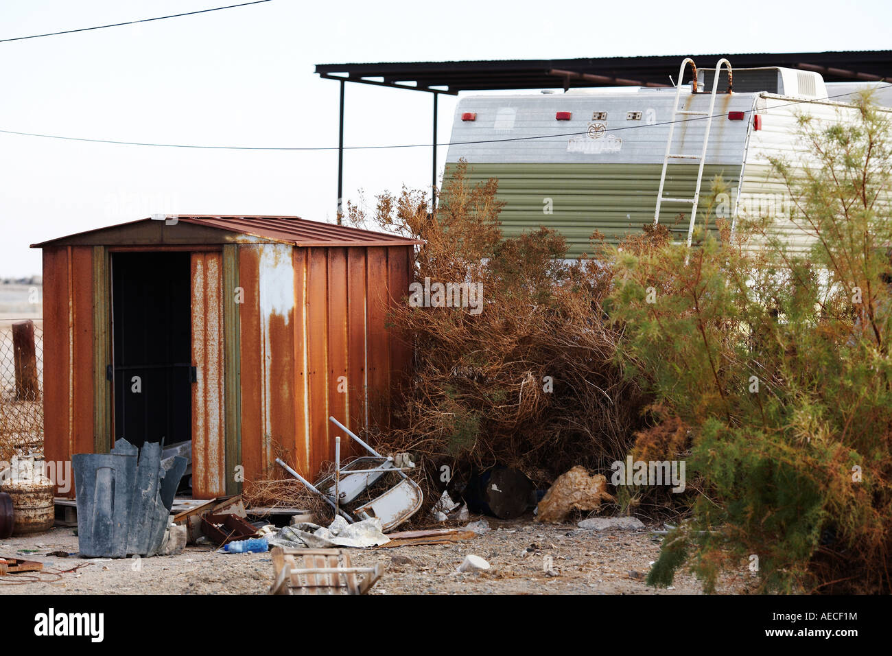 Abandoned RV in Overgrown Trees at Bombay Beach Salton Sea California ...
