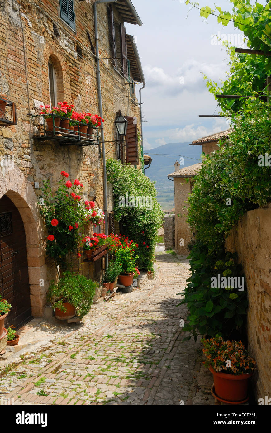 Apinnine hi-res stock photography and images - Alamy