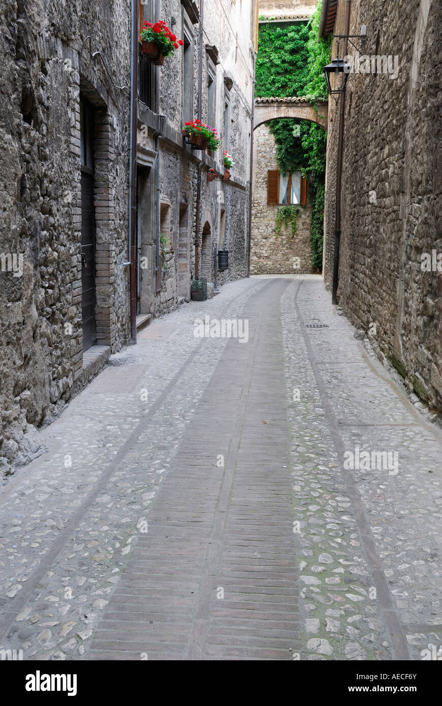 Empty gray stone alleyway with flower boxes leading to a window in ...