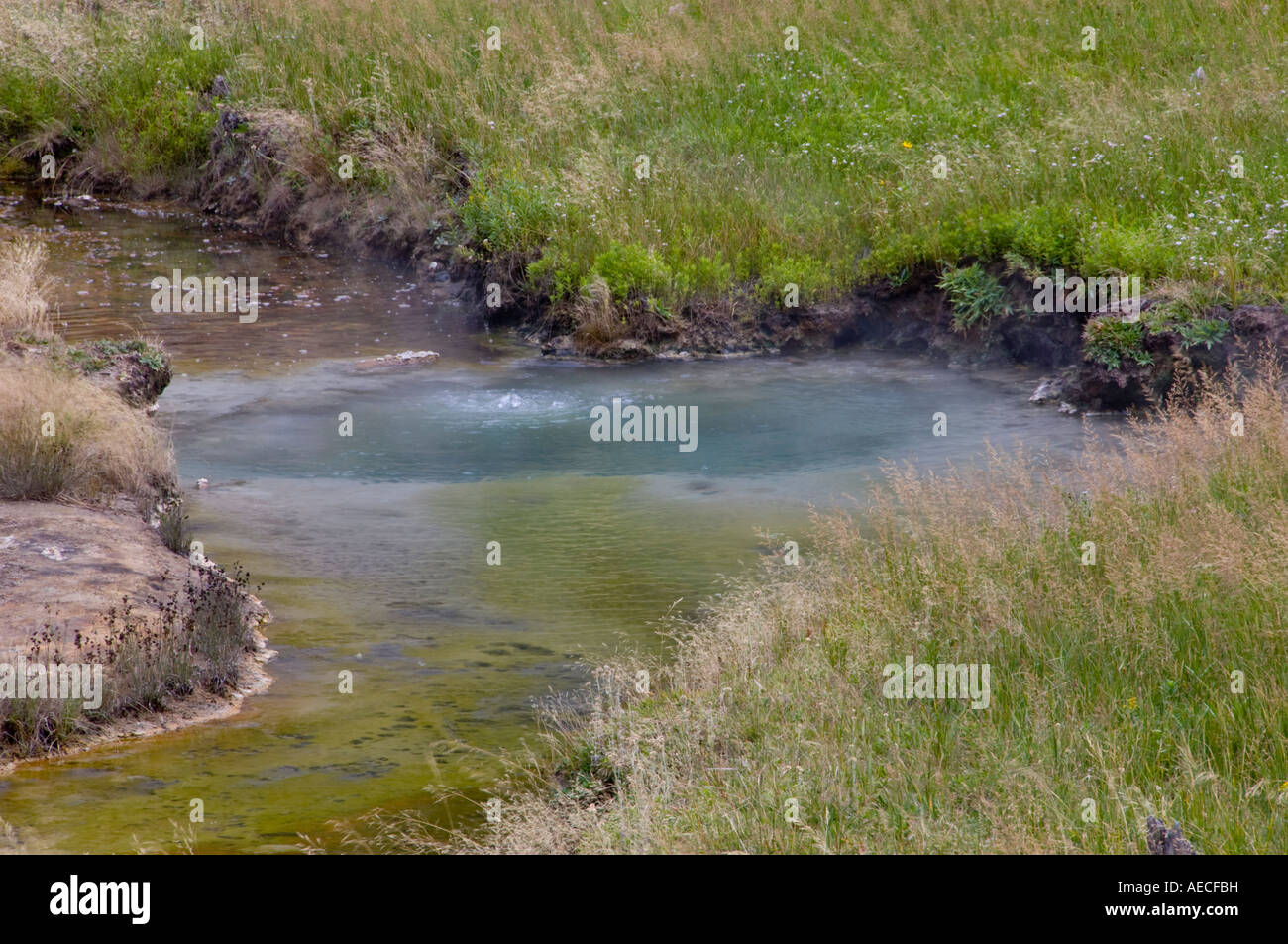 Area around Beryl Springs, Yellowstone National Park Stock Photo - Alamy
