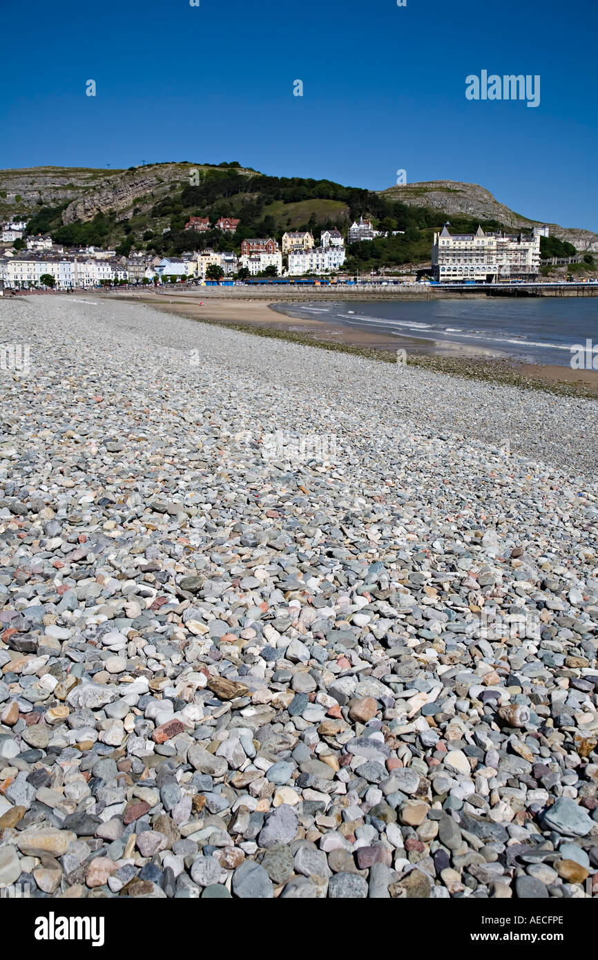 Coloured cobbles high on foreshore with Great Orme in the distance ...