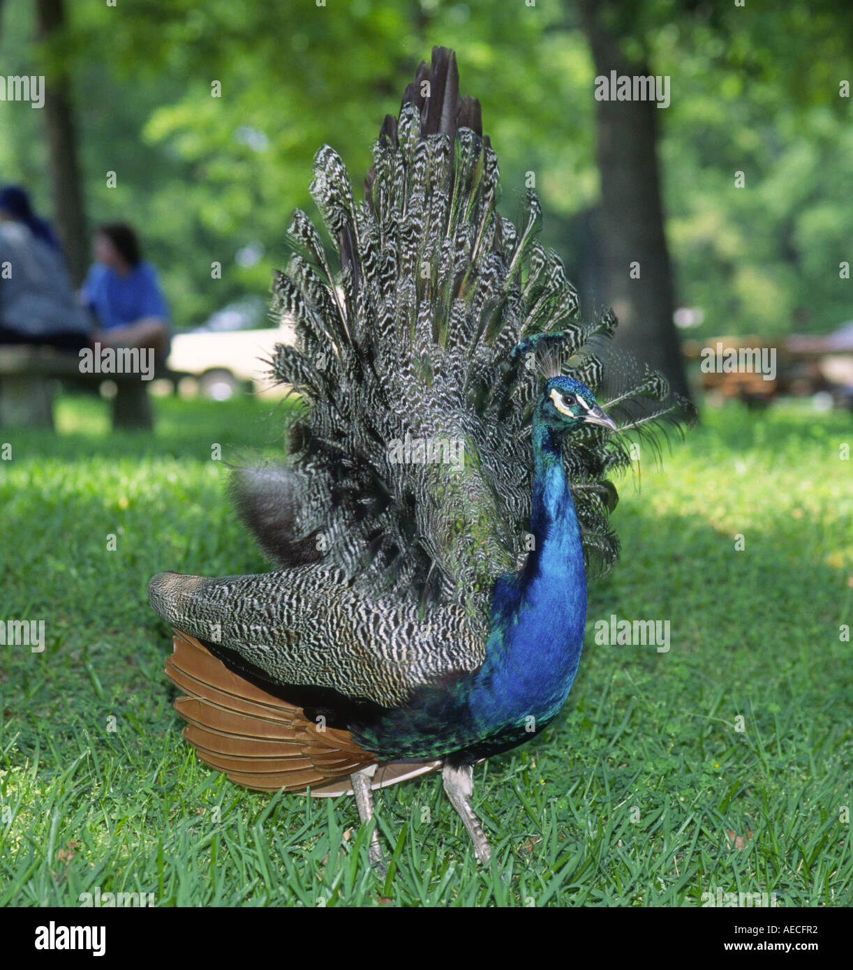 Fort parker state park hi-res stock photography and images - Alamy