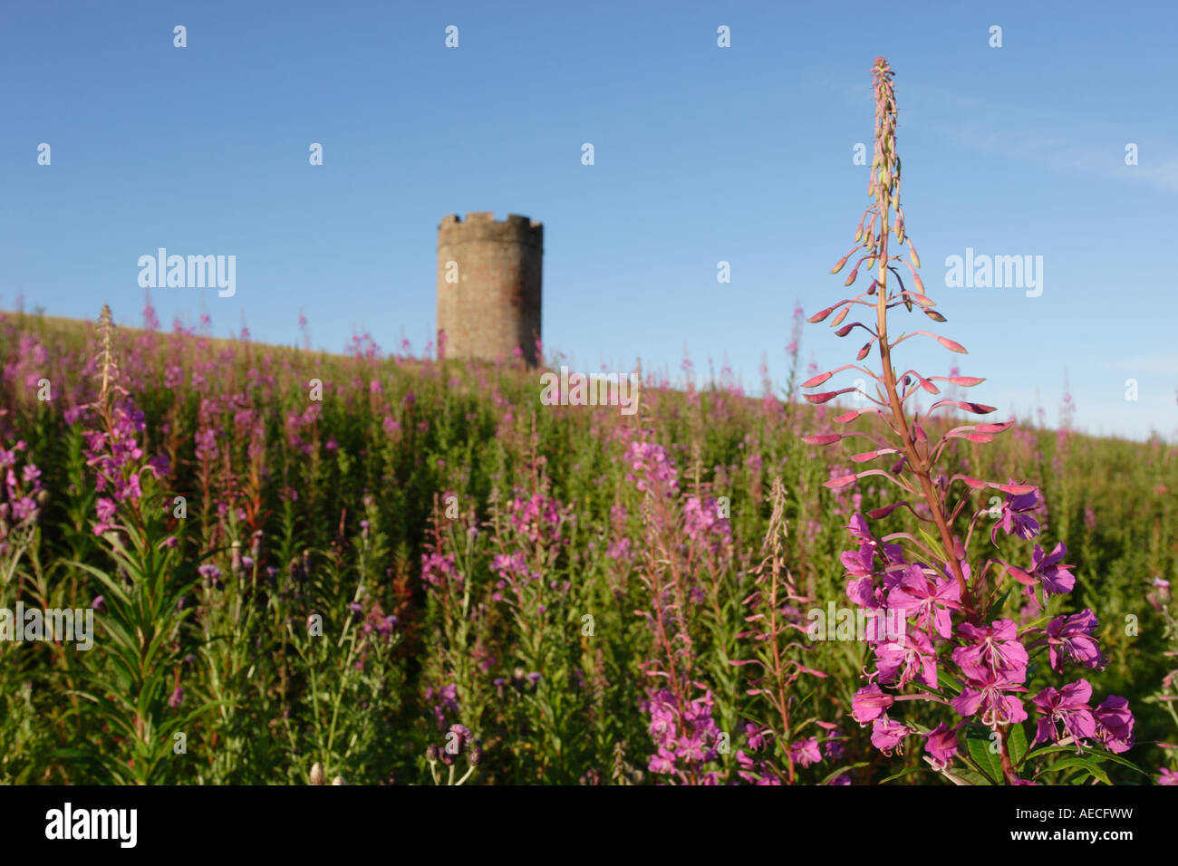 Sauchie tower hi-res stock photography and images - Alamy