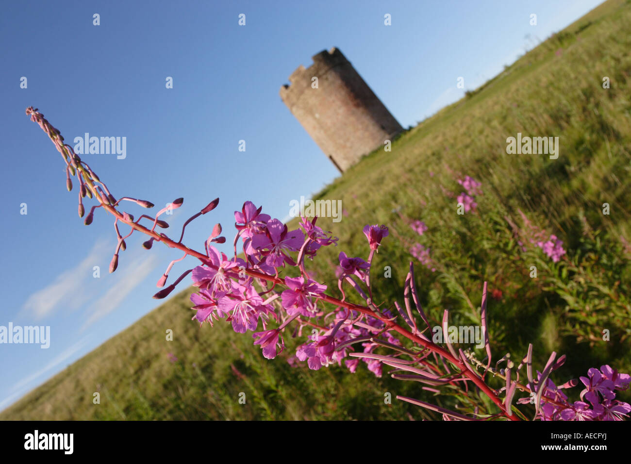 Sauchie tower hi-res stock photography and images - Alamy