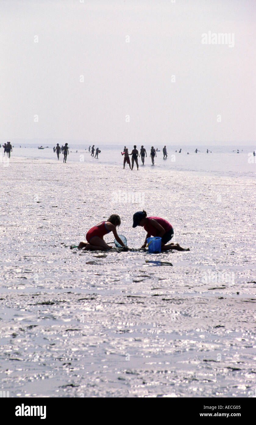 Children dig sand hi-res stock photography and images - Alamy