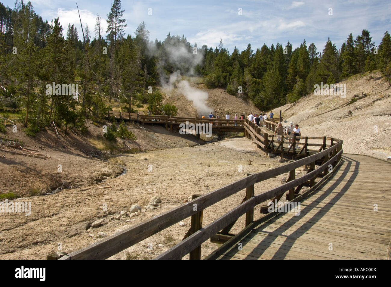 wood walk at geyser basin, Yellowstone National Park Stock Photo - Alamy