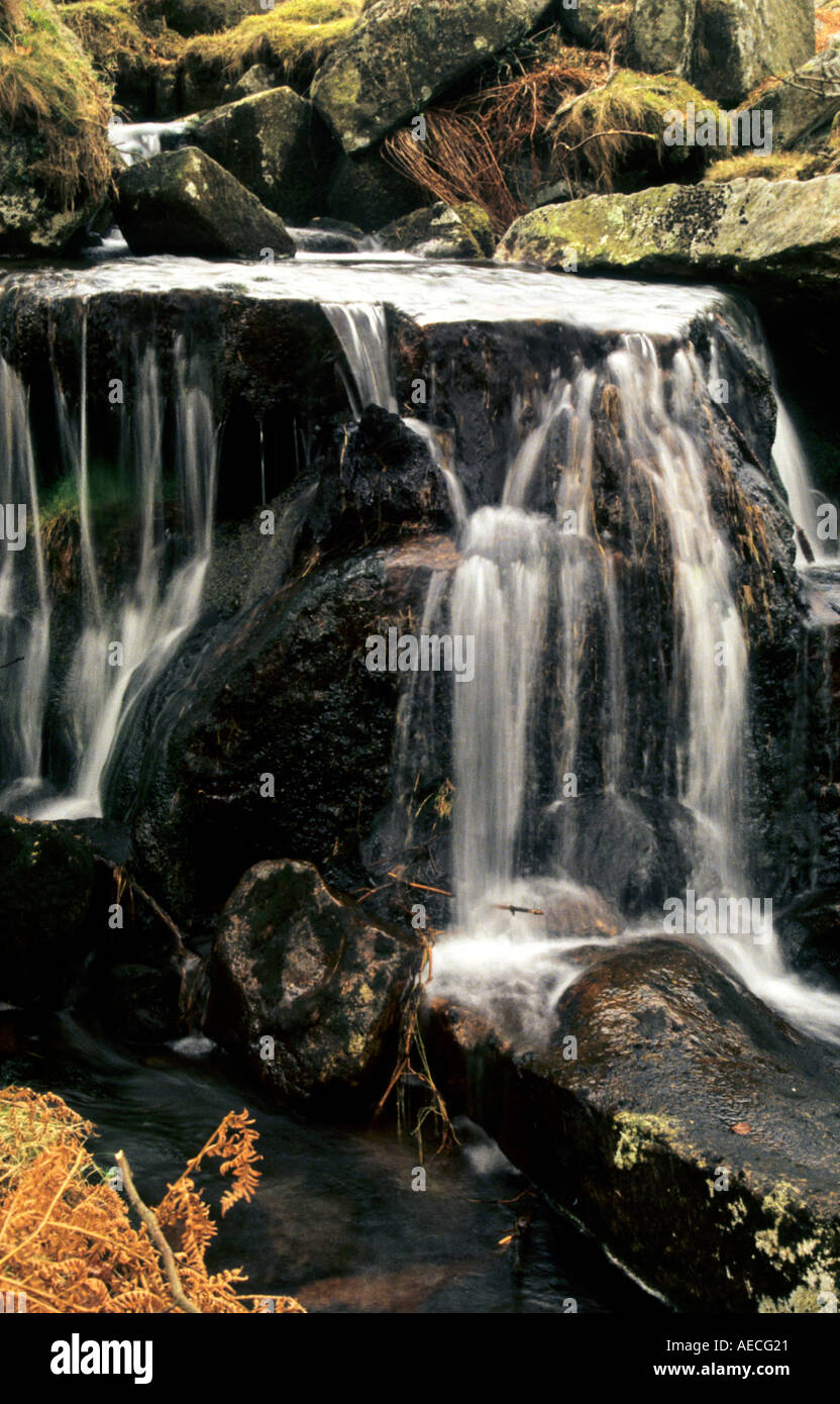 Stream in Dartmoor National Park Devon England Stock Photo - Alamy