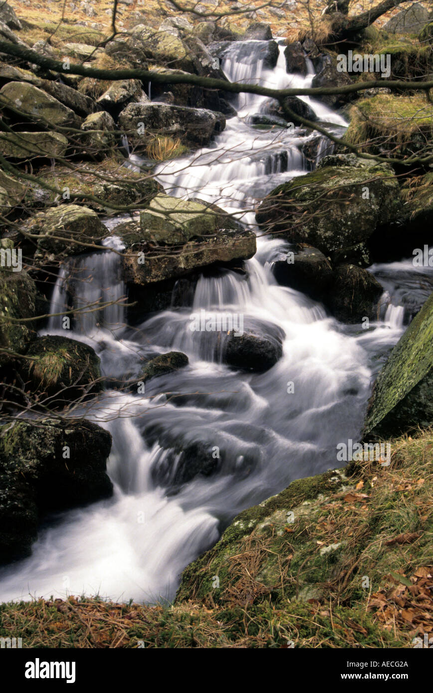 Stream in Dartmoor National Park Devon England Stock Photo - Alamy