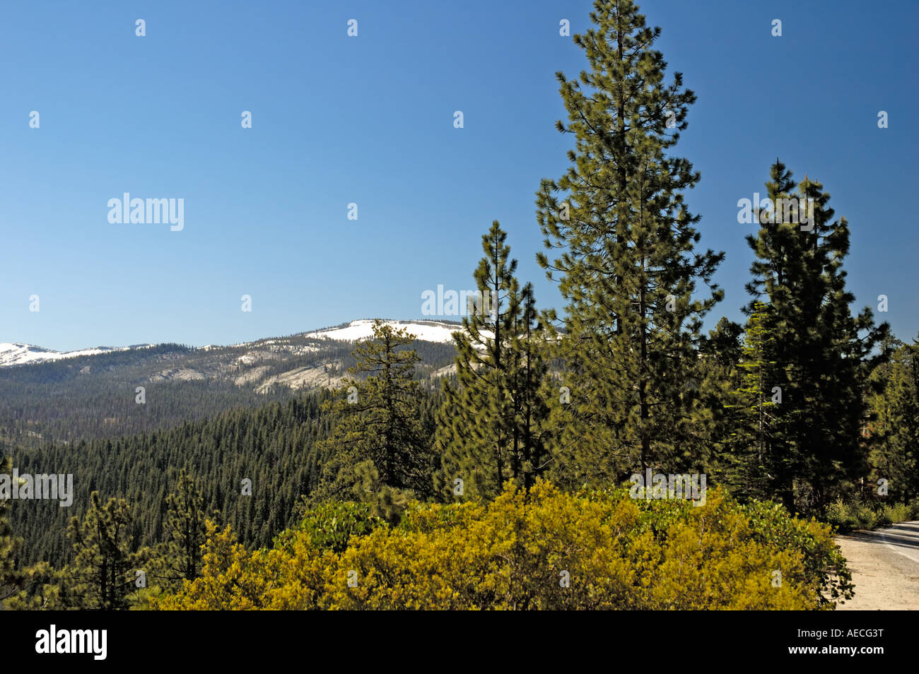 View from Glacier Point Road Yosemite National Park Stock Photo - Alamy