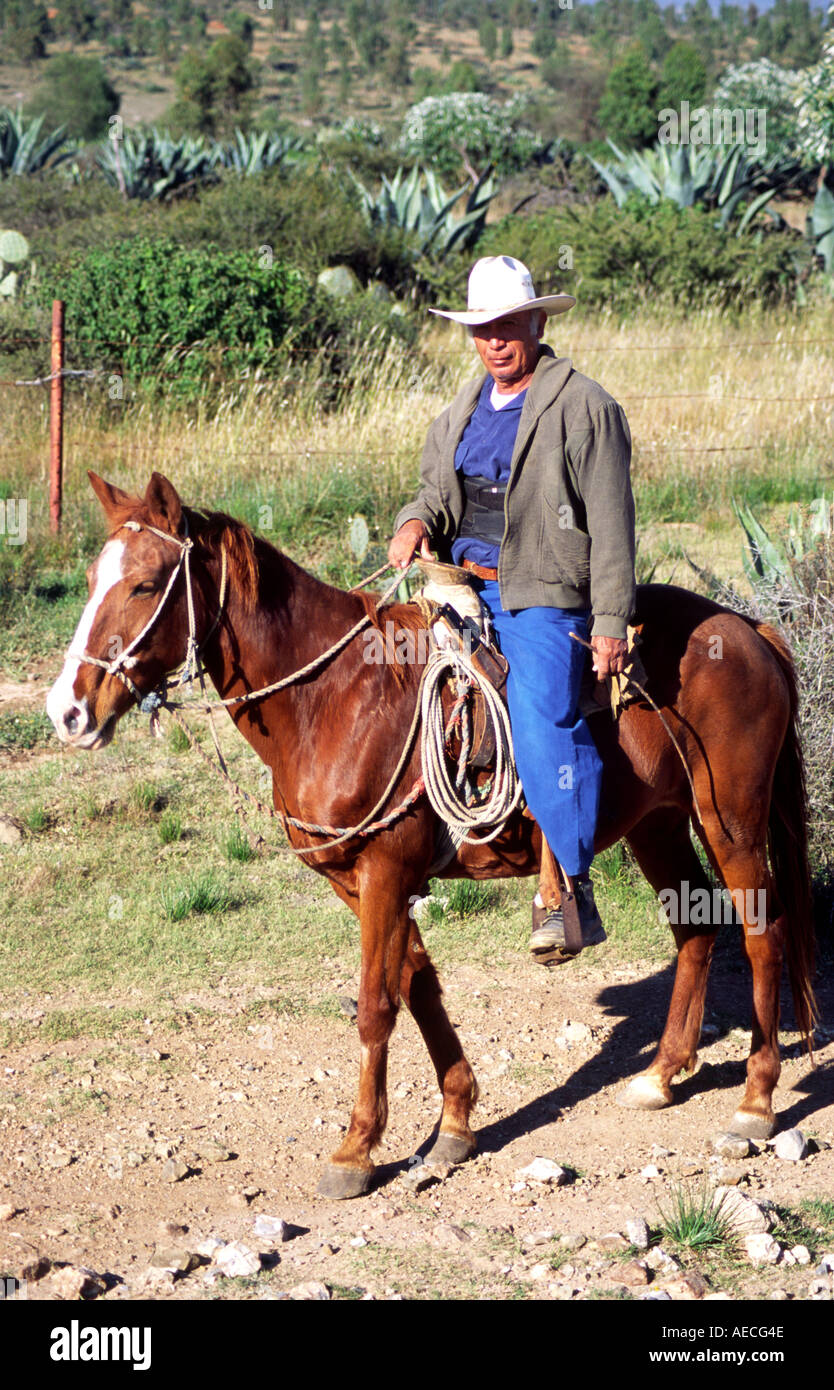 A mexican cowboy mounted on horseback Stock Photo - Alamy