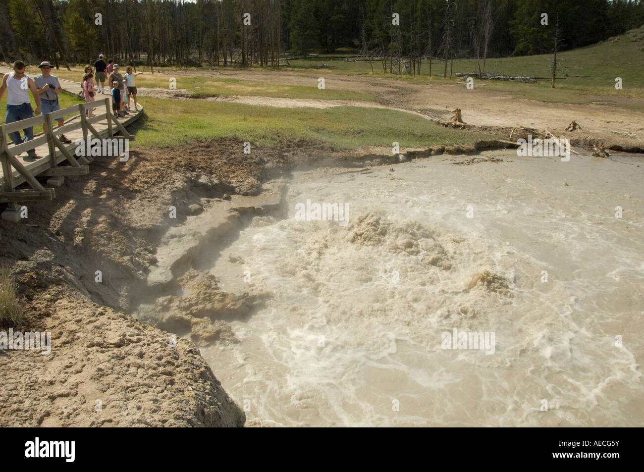 bubbling water at yellowstone national park Stock Photo - Alamy