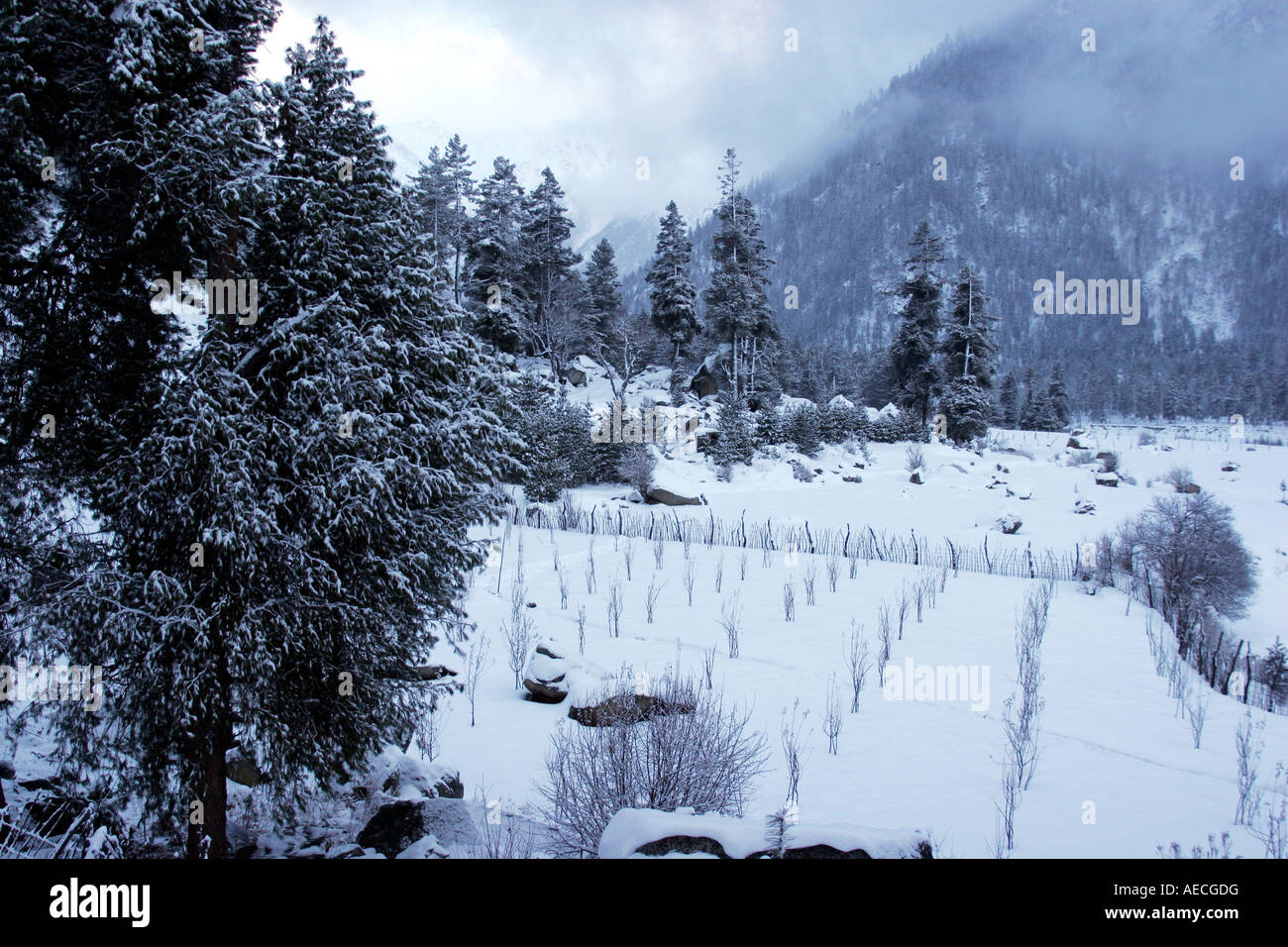 Rakcham hi-res stock photography and images - Alamy