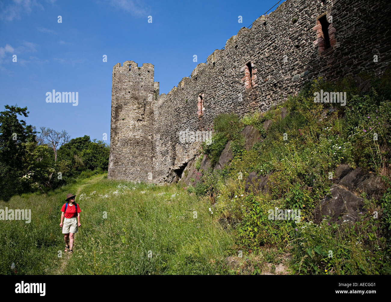 Female visitor walking around the town walls Conwy Castle Conwy Wales ...