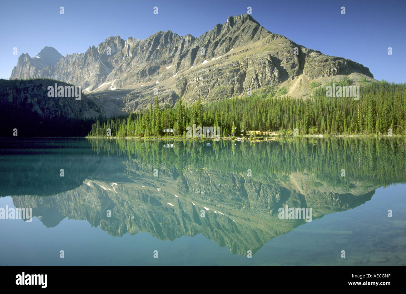 Lake O'Hara, Schaffer Ridge in dist, Rocky Mts, Yoho Nat Park, British ...