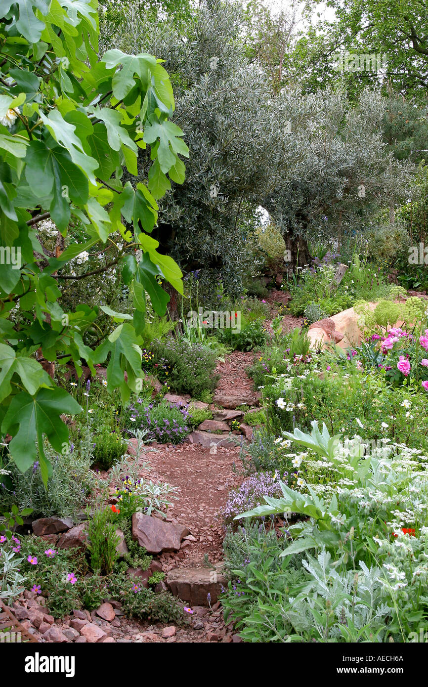 THE 4HEAD GARDEN DESIGNER MARNEY HALL CHELSEA FLOWER SHOW 2005 Stock ...