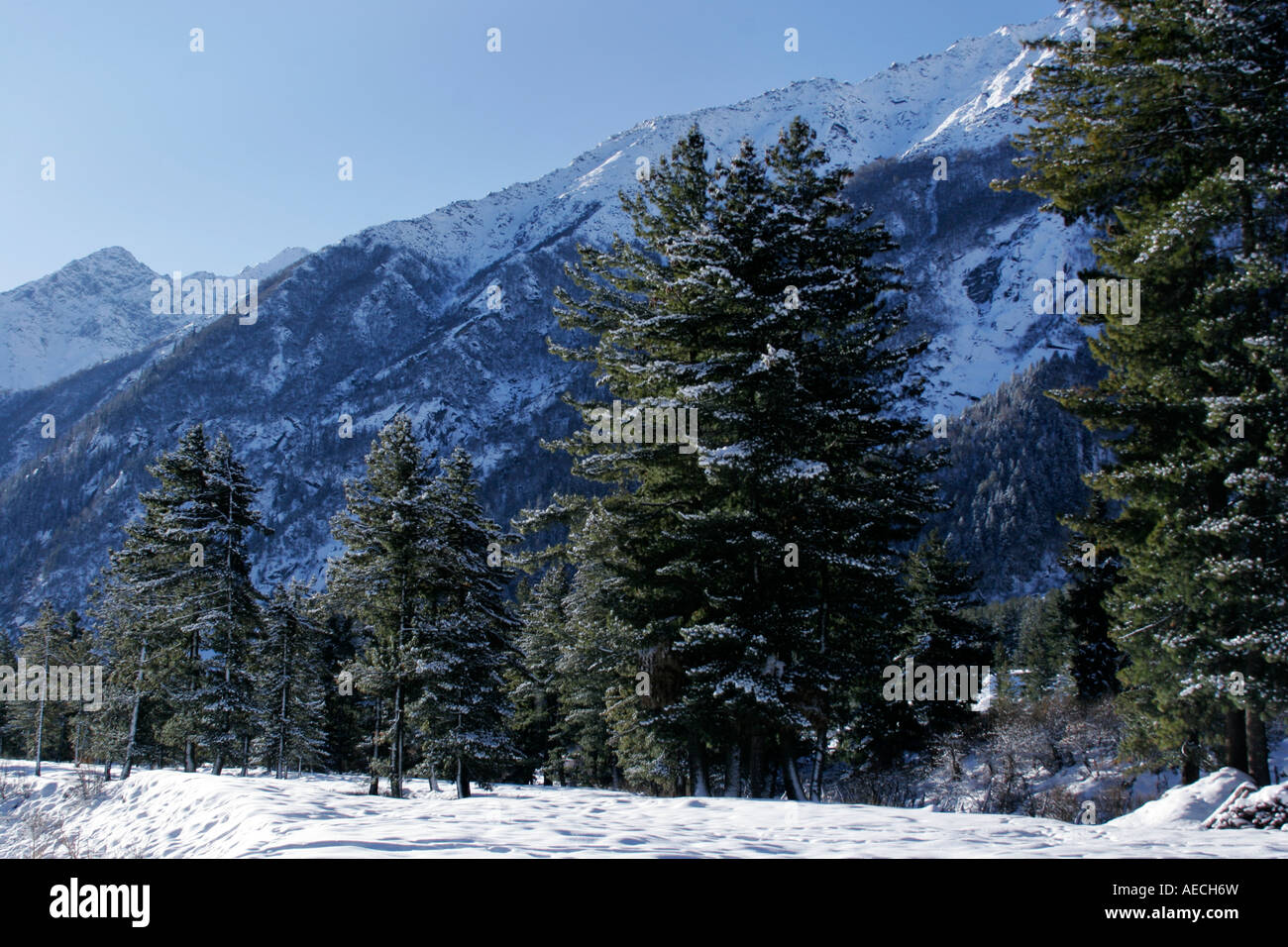 Purified deities hi-res stock photography and images - Alamy