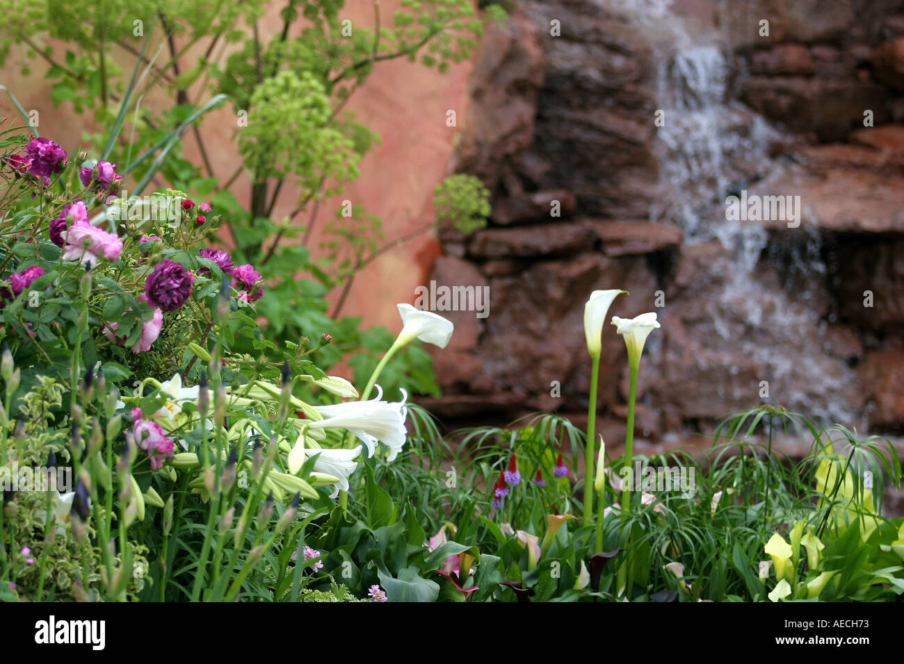 THE 4HEAD GARDEN DESIGNER MARNEY HALL CHELSEA FLOWER SHOW 2005 Stock ...