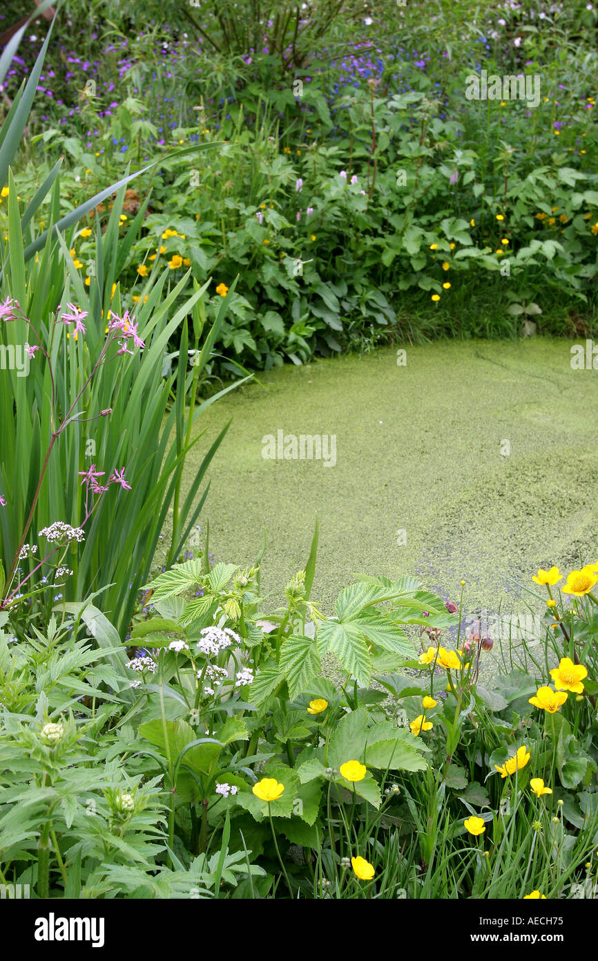 Fetzer wine garden hi-res stock photography and images - Alamy